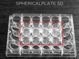 再生医療におけるスフェロイド形成に関する各技術をご紹介（クアーズテック／AGCテクノグラス／Kugelmeiers） | Ayumi ...
